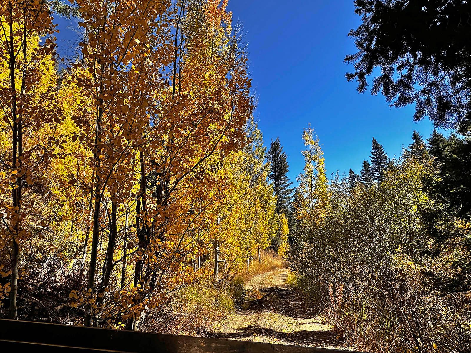 Willowbrook Development | Region