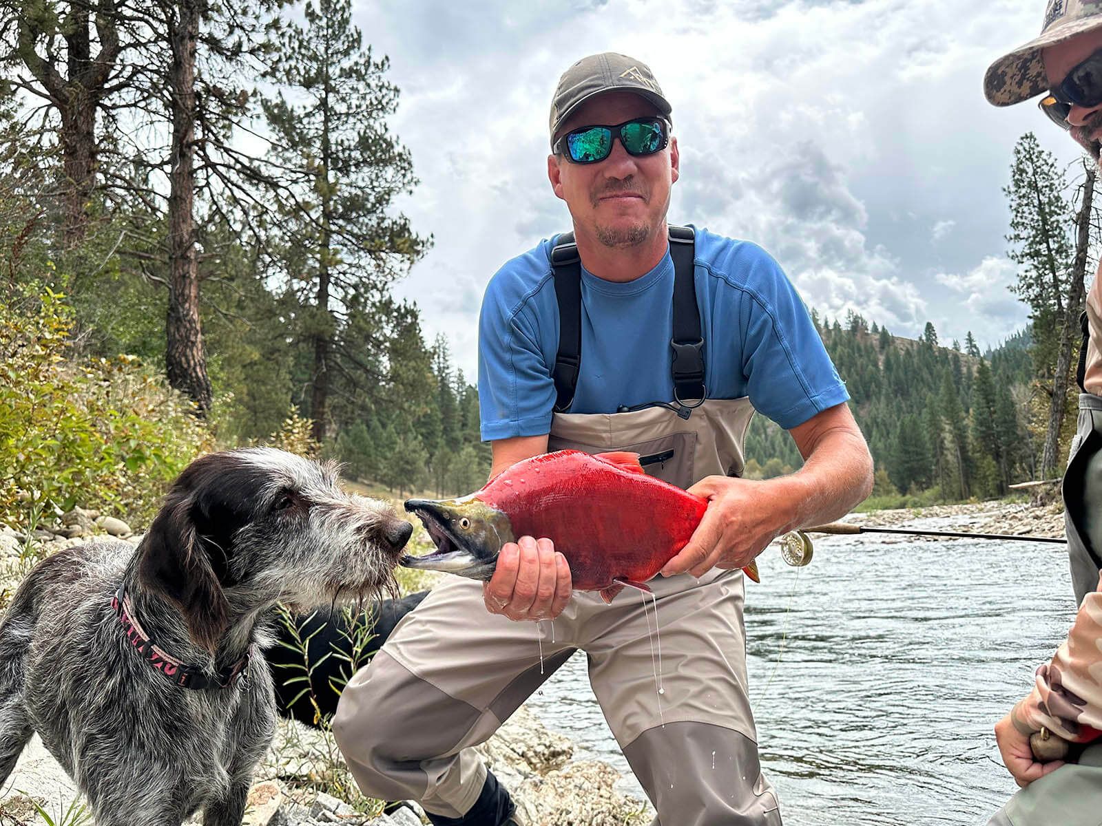 Willowbrook Development | Region