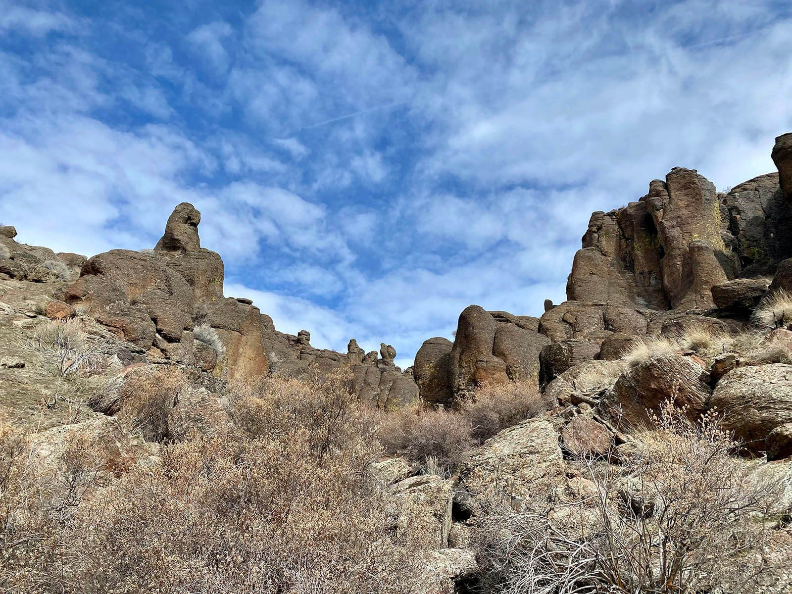 Willowbrook Development | Region